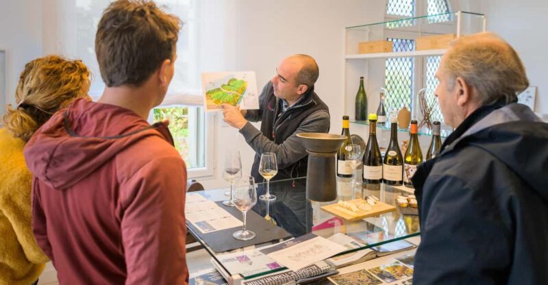 From Tours or Amboise: Loire Valley Wine Tour - Transport, Timing, and Group Experience