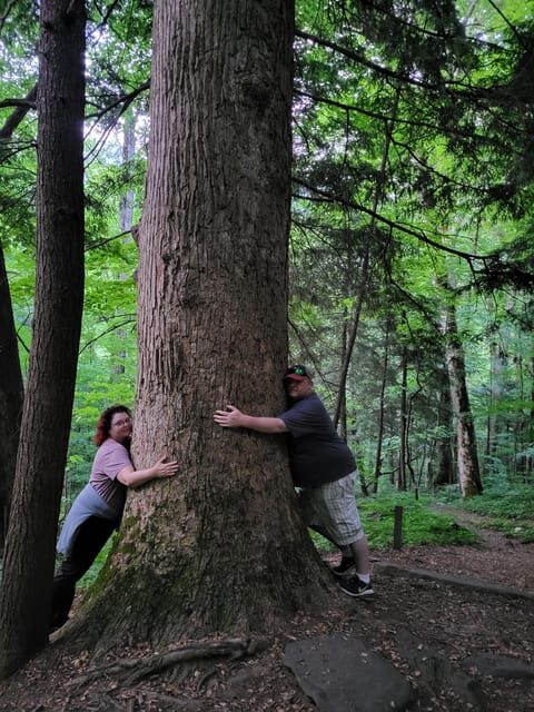 From Townsend: Great Smoky Mountains National Park Hiking - Why This Tour Offers Great Value