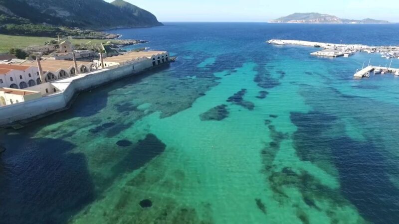 From Trapani: Day Cruise to Favignana & Levanzo with Lunch - Introduction: A Worthwhile Sicilian Sea Journey