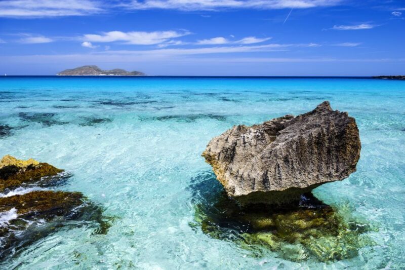 From Trapani: Favignana and Levanzo Mini Cruise with Lunch - A Deep Dive into the Experience