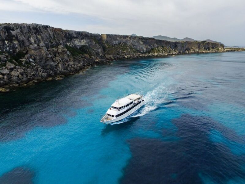 From Trapani: Favignana and Levanzo Motorboat Cruise - What You Can Expect from This Boat Tour