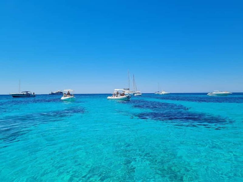 From Trapani: Full-day tour of Favignana and Levanzo with lunch and aperitif - Setting the Scene: What to Expect on the Tour