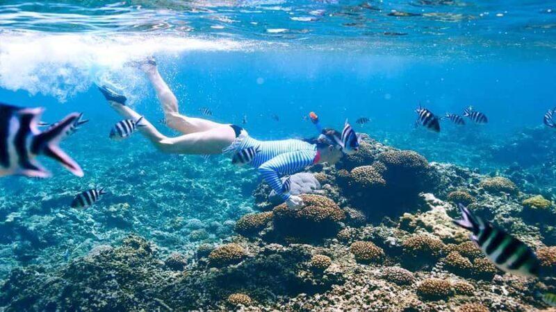 From Trawangan: Snorkling, Statue, and Visit Turtle Sactuary - Key Points