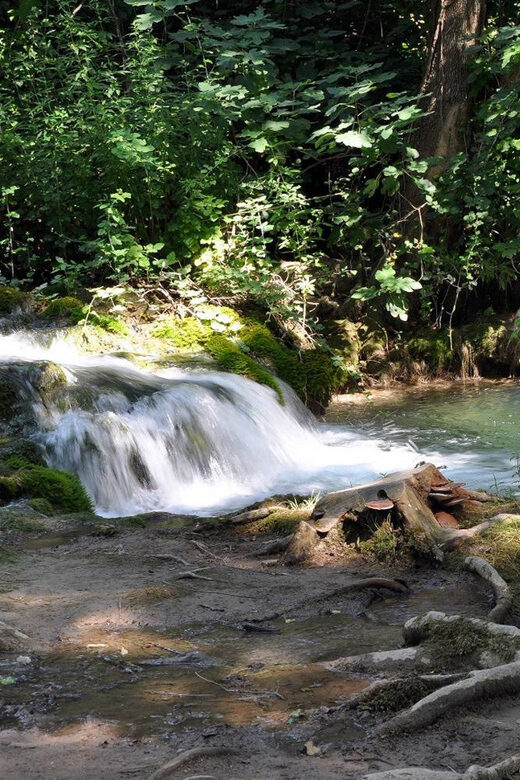 From Trogir, Seget & Okrug: Krka Waterfalls Gastro Tour - What to Expect: Practical Details