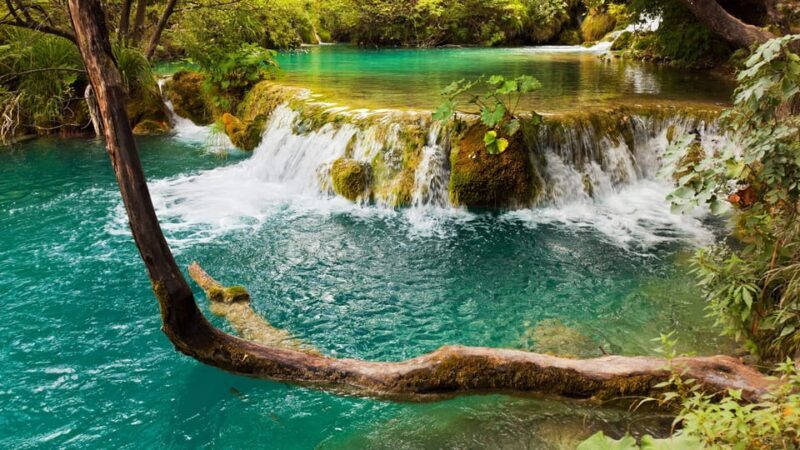 From Trogir, Seget & Okrug: Krka Waterfalls Gastro Tour - Who Should Consider This Tour?