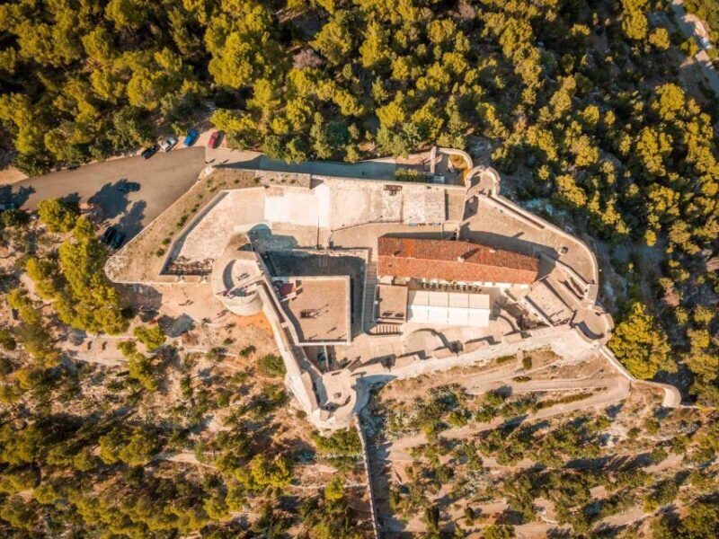 From Trogir/ Split: Hvar & Pakleni Islands Private Boat Tour - Authentic Experiences and Reviewer Insights