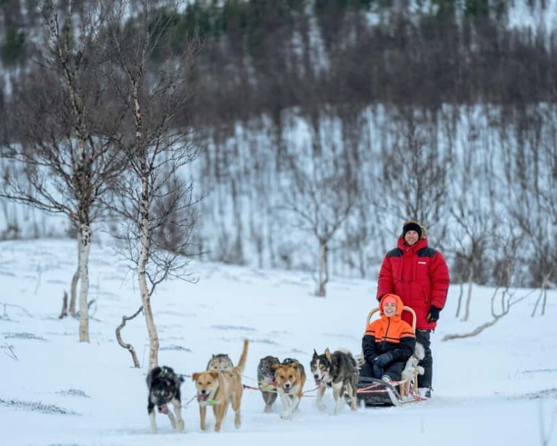 From Tromsø: Advanced Dog Sledding Daytime & Snow Park Visit - Who is This Tour Best For?