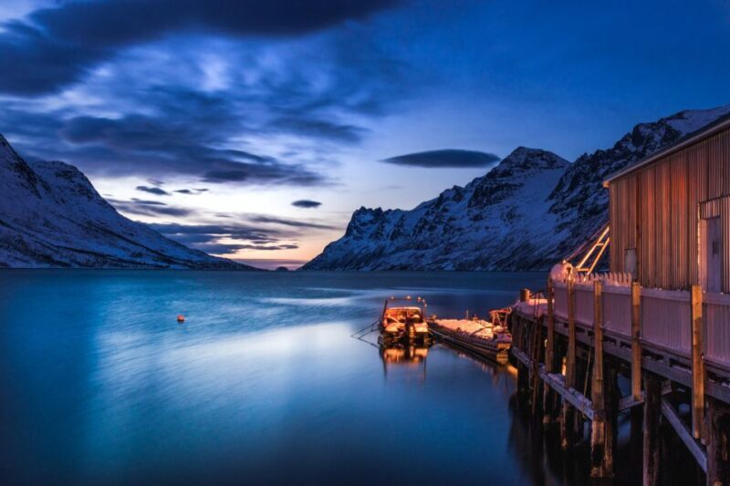 From Tromsø: Arctic Wildlife & Fjord Sightseeing Tour by Car - The Value of This Tour