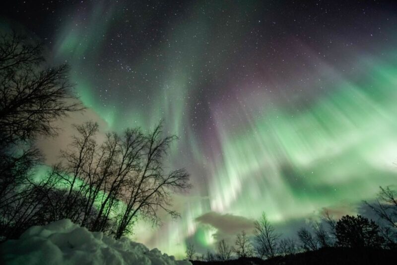 From Tromsø: Aurora Borealis - The Unpredictable Nature of the Aurora
