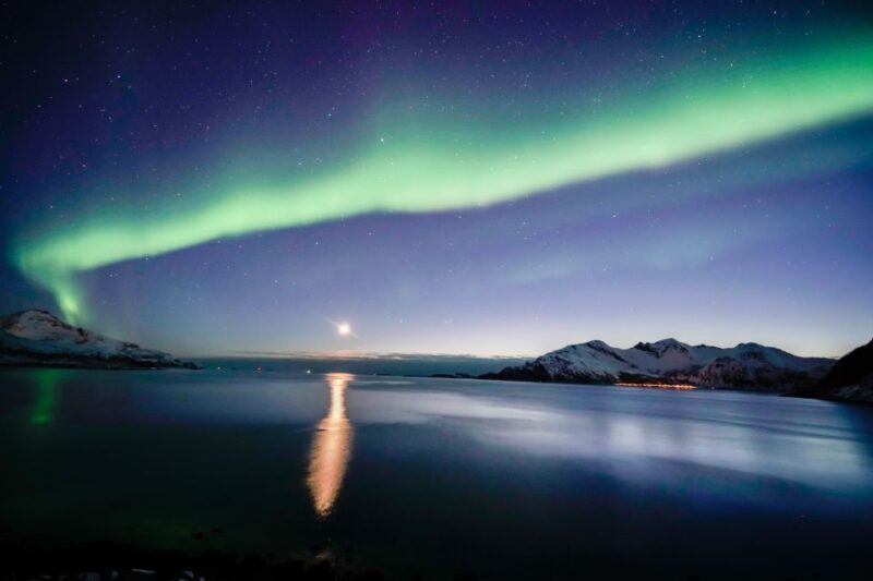 From Tromsø: Aurora Borealis Tour - Key Points