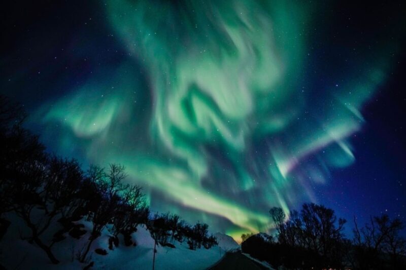 From Tromsø: Aurora Borealis Tour - Final Word
