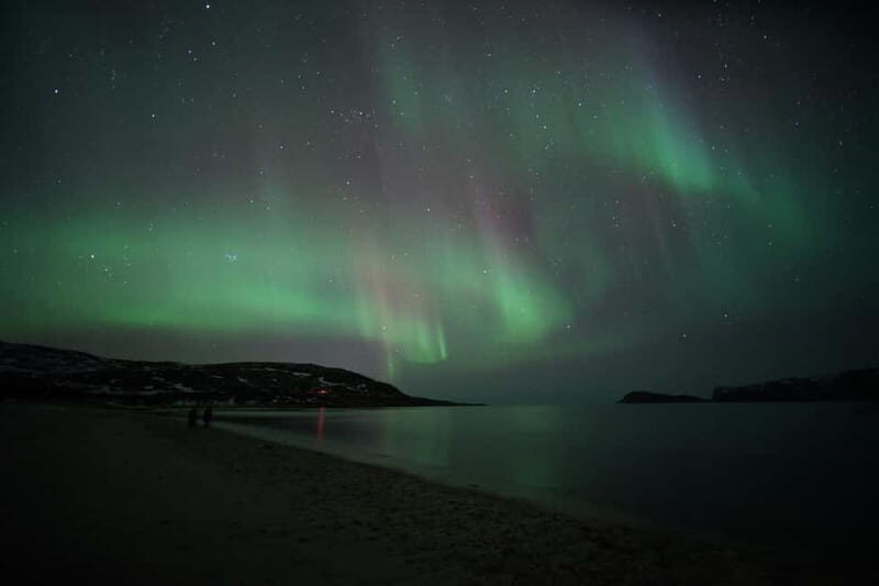 From Tromsø: Aurora Bus Tour with Snacks, Photos, and Drinks - The Experience: What’s in Store?