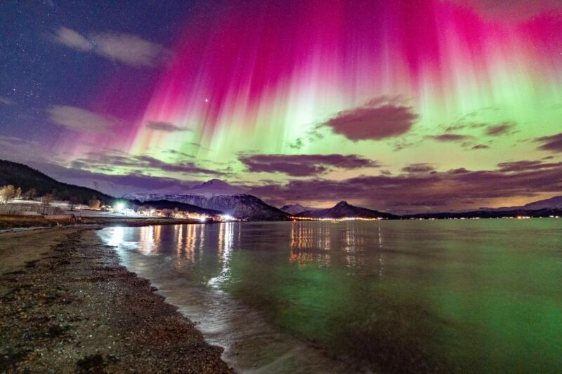 From Tromsø: Aurora Minibus Chase with Portrait and Hot Meal - The Real Deal: An In-Depth Look at the Aurora Minibus Chase