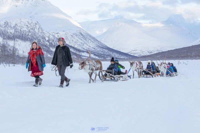From Tromsø: Daytime Reindeer Sledding at Camp Tamok - Key Points