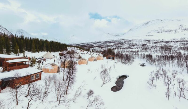 From Tromsø: Daytime Reindeer Sledding at Camp Tamok - Authenticity & Traveler Experiences