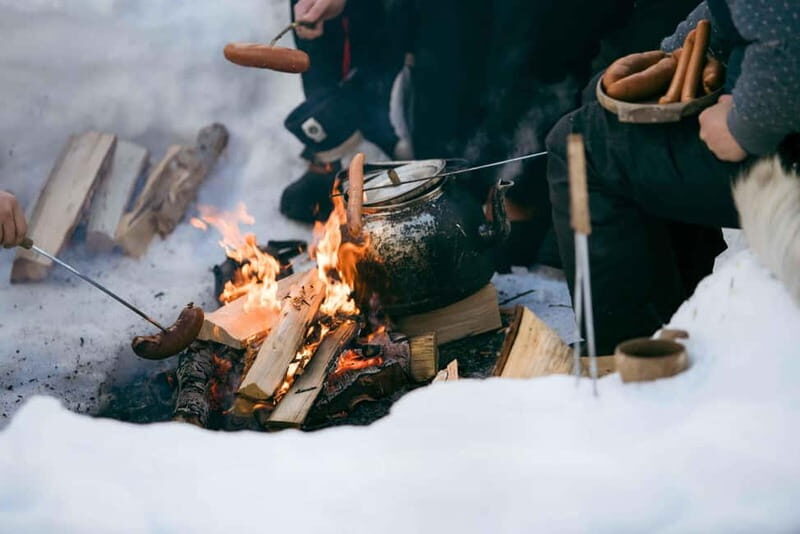 From Tromsø: Daytime Snowshoeing and Snow Park Visit - An In-Depth Look at the Arctic Adventure