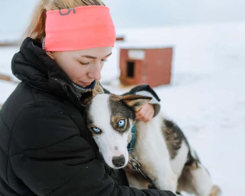 From Tromsø: Dog Sledding Experience with Transfer - What to Expect on the Tour