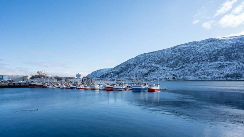 From Tromsø: Experience Vannøya Island Wild, Remote & Real - Key Points