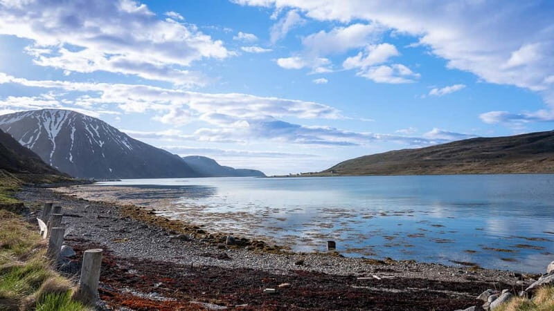 From Tromsø: Experience Vannøya Island Wild, Remote & Real - Practical Details and Value