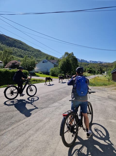 From Tromsø: Fjord Sightseeing With E-Bike - The Journey: A Detailed Look at the E-Bike Tour