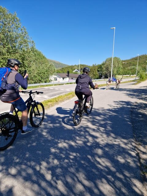 From Tromsø: Fjord Sightseeing With E-Bike - Who Should Consider This Tour?