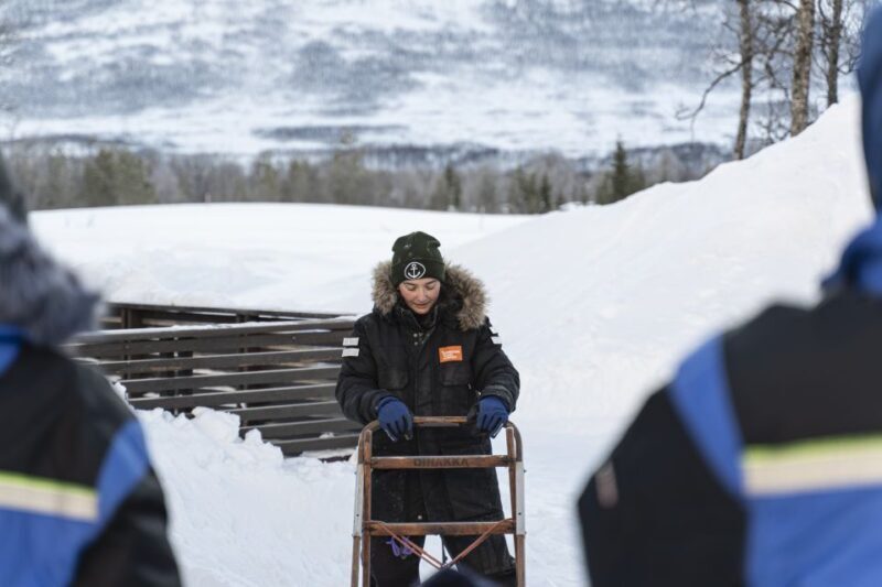From Tromsø: Fun and Easy Dog Sledding Adventure - Key Points