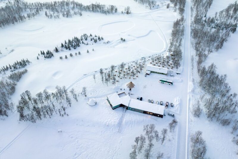 From Tromsø: Fun and Easy Dog Sledding Adventure - The Sum Up