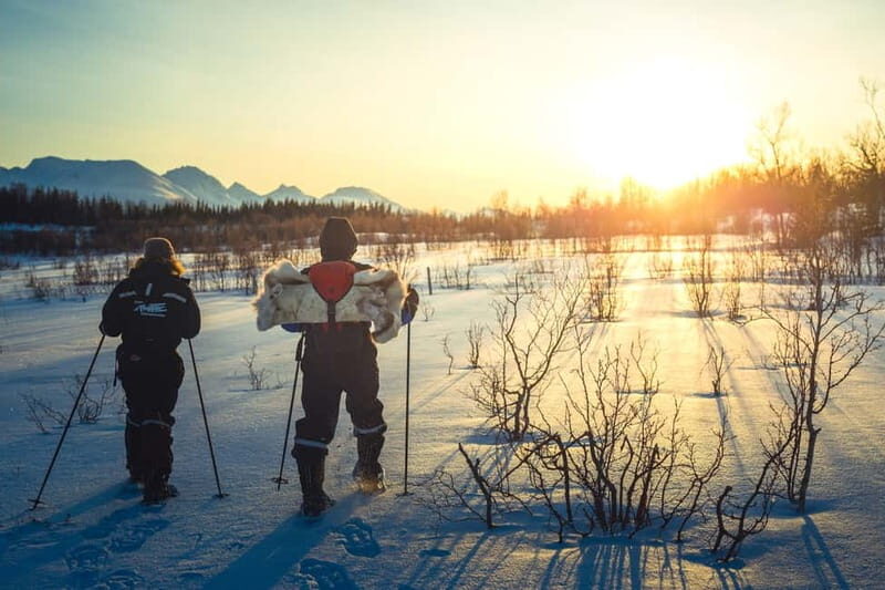 From Tromsø: Guided Husky Snowshoe Hike and Husky Camp Visit - Who Would Love This Tour?