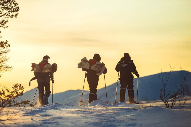 From Tromsø: Guided Husky Snowshoe Hike and Husky Camp Visit - Final Thoughts on This Arctic Husky Experience
