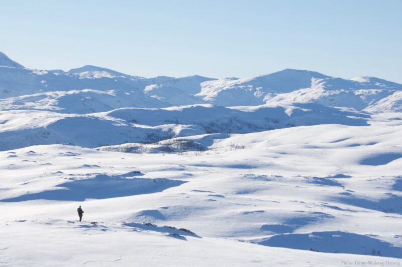 From Tromsø: Guided Snowshoe Hike Experience - An Overview of the Snowshoe Experience in Norway’s Arctic