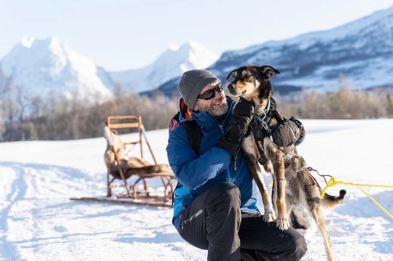 From Tromsø: Husky Experience with Self-Drive Dog Sled Ride - Why This Tour is a Great Choice