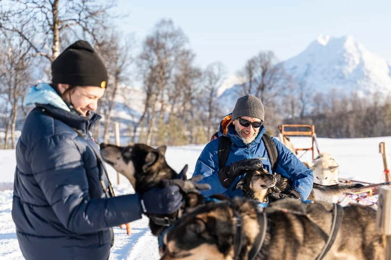 From Tromsø: Husky Experience with Self-Drive Dog Sled Ride - Practicalities and Considerations