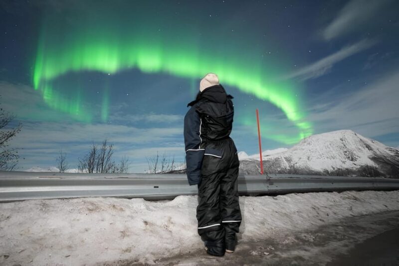 From Tromsø: Northern Lights Tour in Minibus with Photos - What You Can Expect on This Northern Lights Minibus Tour