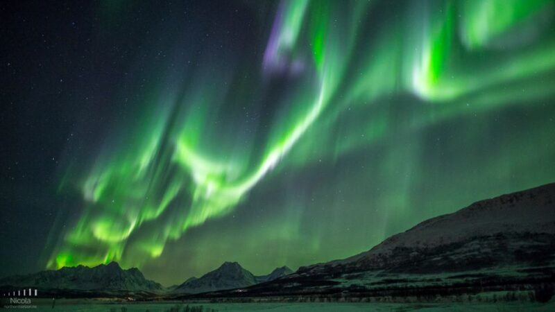 From Tromsø: Northern Lights Tour - Introduction