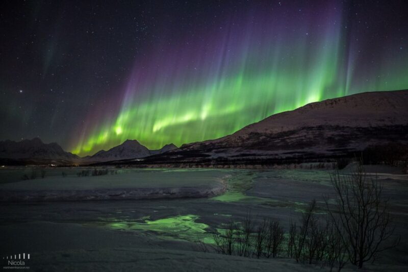 From Tromsø: Northern Lights Tour - Authentic Customer Feedback
