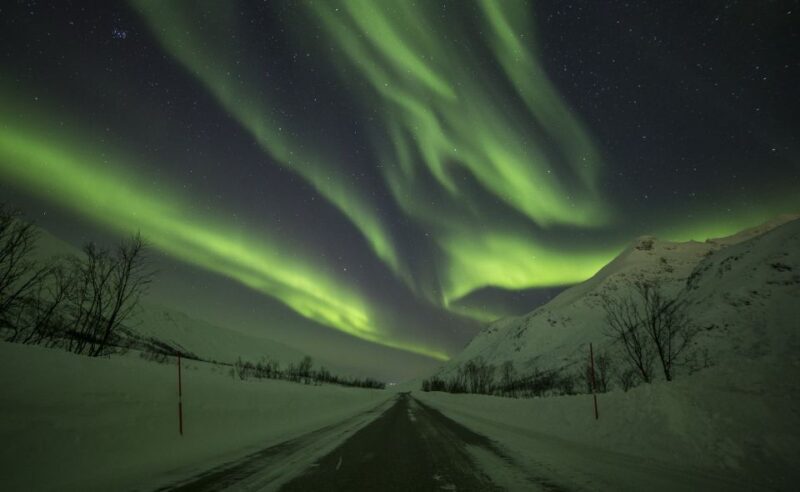 From Tromsø: Northern Lights Tour - The Sum Up: Who Is This Tour Best For?