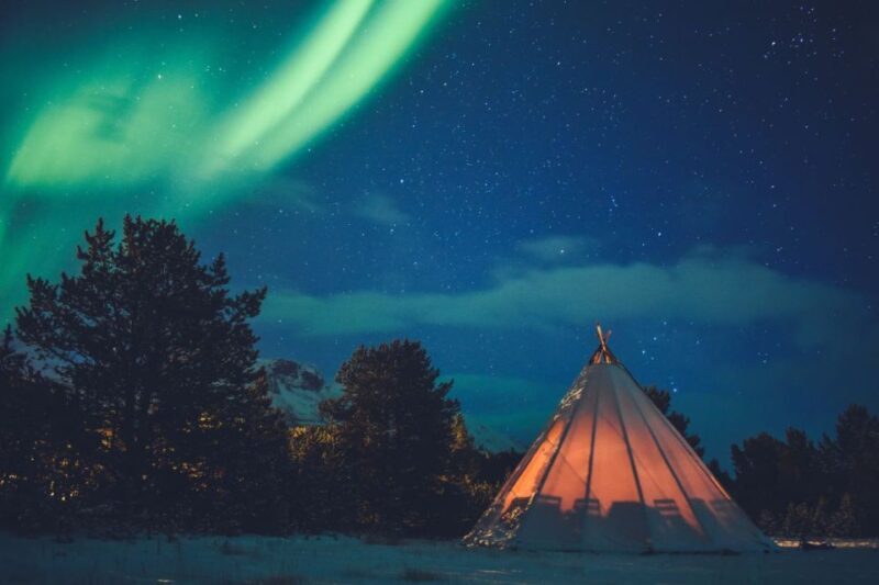 From Tromsø: Private Northern Lights Experience - Analyzing the Cost and Value