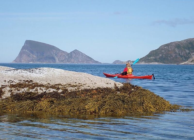 From Tromsø: Sea Kayaking Tour at Sommarøy with Transfer - Key Points