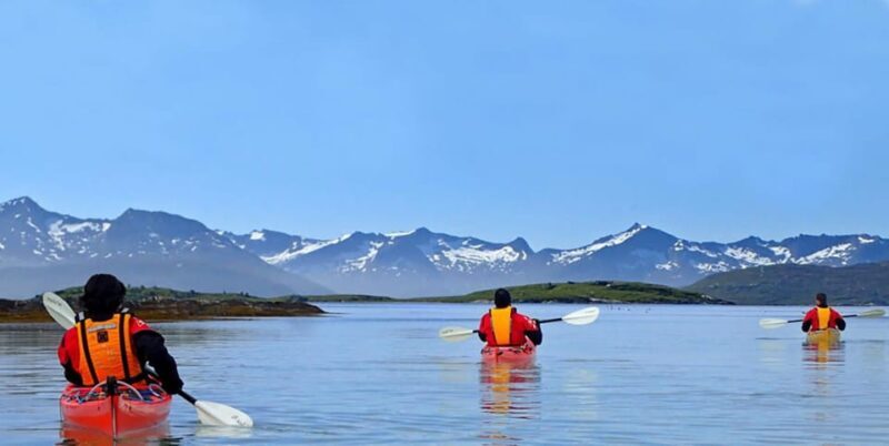 From Tromsø: Sea Kayaking Tour at Sommarøy with Transfer - What Makes This Tour Special?