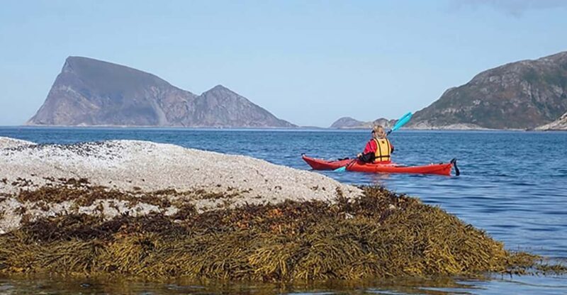 From Tromsø: Sea Kayaking Tour at Sommarøy with Transfer - Final Thoughts: Is This Tour for You?