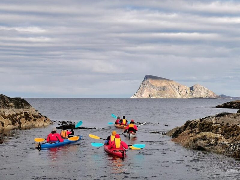 From Tromsø: Sea Kayaking Tour at Sommarøy with Transfer - FAQ