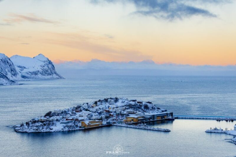 From Tromsø: Senja and Kvaløya Arctic Day Trip with Lunch - Key Points