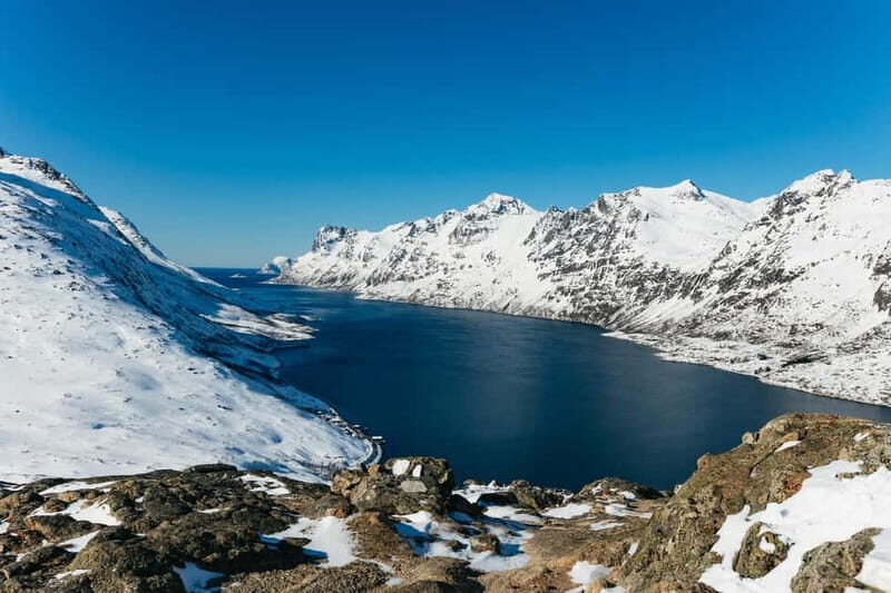 From Tromsø: Snowshoeing Hike with Picnic Lunch and Photos - In-Depth Review of the Snowshoeing Tour in Tromsø