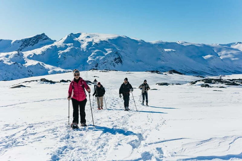 From Tromsø: Snowshoeing Hike with Picnic Lunch and Photos - FAQs