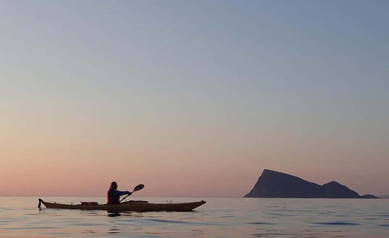 From Tromsø: Sommarøy Midnight Sun Sea Kayaking Tour - Wildlife and Nature Encounters