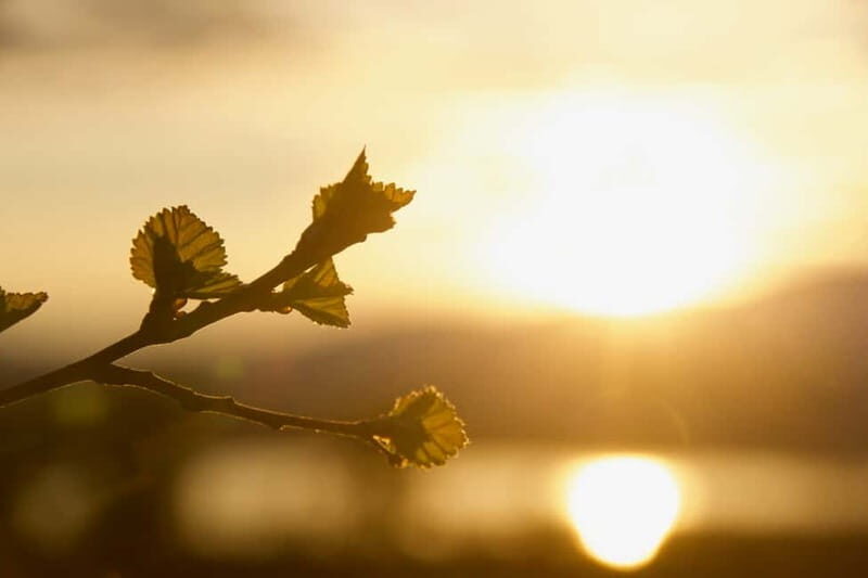From Tromsø: Sommarøy Midnight Sun Sea Kayaking Tour - Practical Details and Comfort