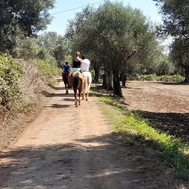From Tropea: Horseback Riding Tour with Picnic in Francica - Authentic Experiences That Matter