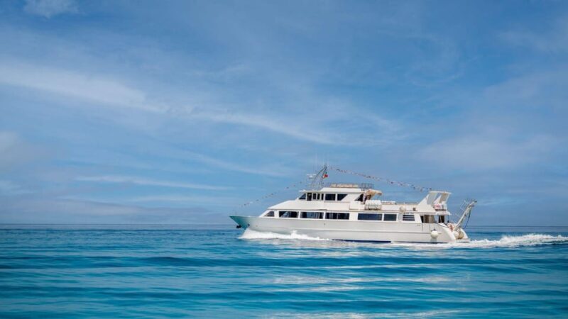 From Tropea: Lipari Panarea Stromboli Night Cruise - From Tropea: Lipari Panarea Stromboli Night Cruise — An Authentic Maritime Adventure