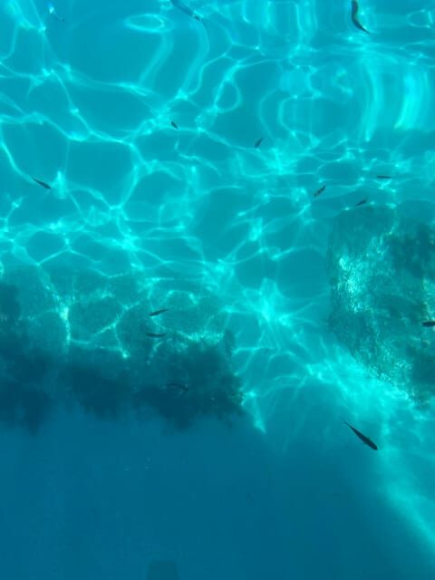From Tropea: Max 8 People esclusive Trip Costa degli Dei - FAQ