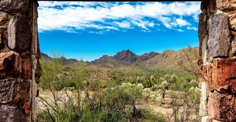 From Tucson: Sonoran Desert with Desert Museum Ticket - An Authentic Introduction to the Sonoran Desert